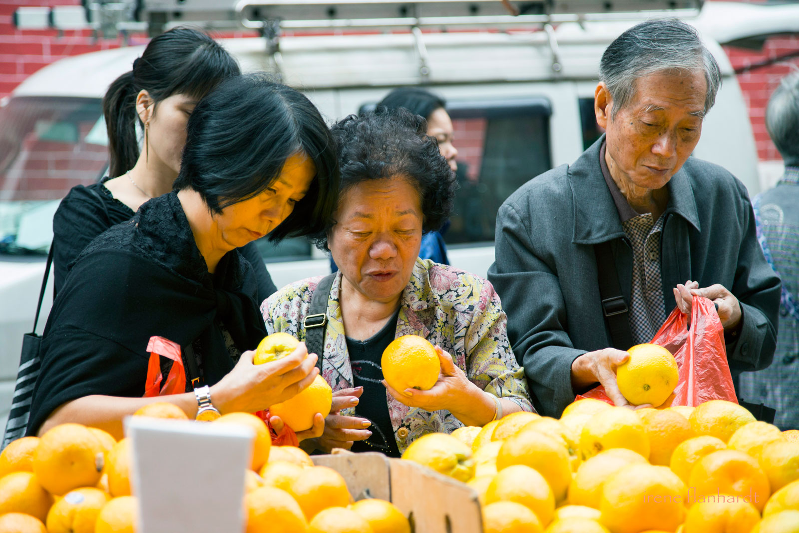 forensic pathologists | macau | 2014